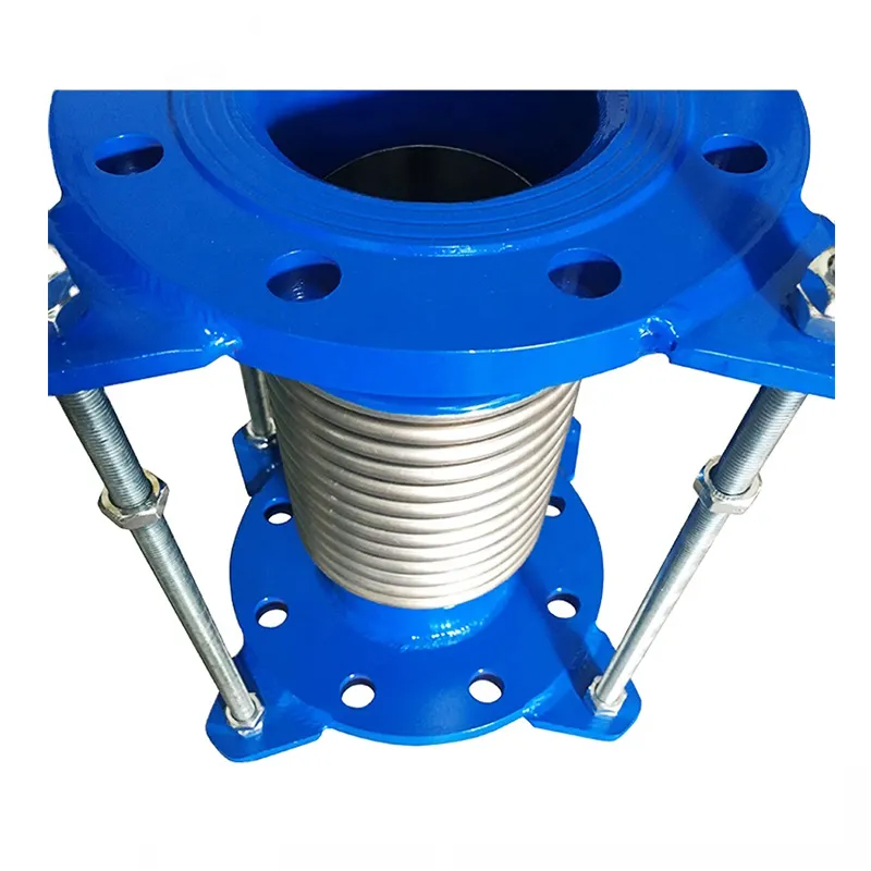 Metal Flexible Bellow Double Expansion Joint Fitting - EASY China ...