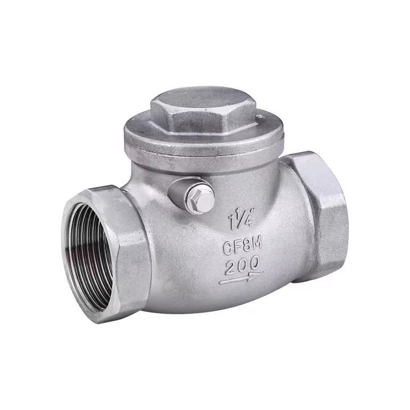 Spring Loaded Stainless Steel Vertical and Swing Check Valve