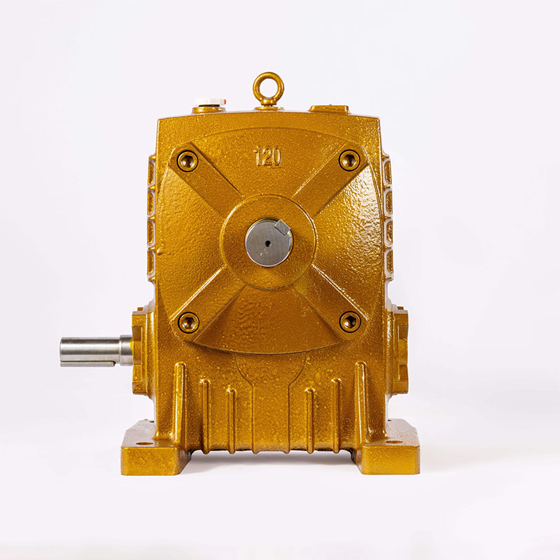 WP Series Reducers, Customizable Worm Gears